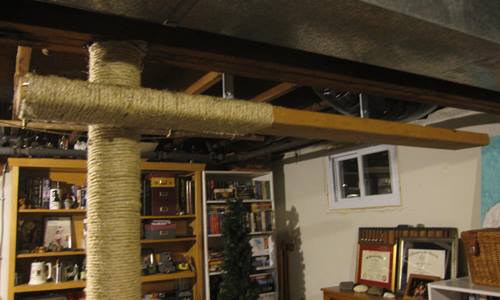 DIY Cat Jungle Gym – Phase II – Cape Of Dreams